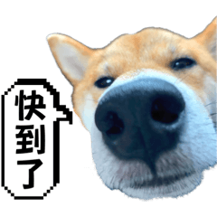 Mark_20230912002719 - LINE スタンプ | LINE STORE