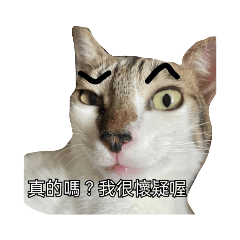 Esther_20230911165957 - LINE スタンプ | LINE STORE