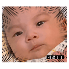 mico_20230914222025 – LINE stickers | LINE STORE