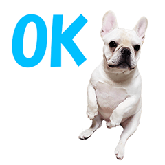 Joy & Rui Sticker1 – Stickers LINE | LINE STORE