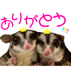 NACHU_20230918023556 – LINE貼圖 | LINE STORE