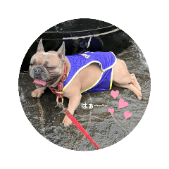 Capochini 2 – LINE stickers | LINE STORE