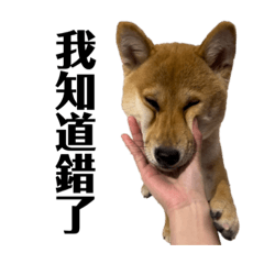 Ivy Chu_20230919184612 - LINE スタンプ | LINE STORE