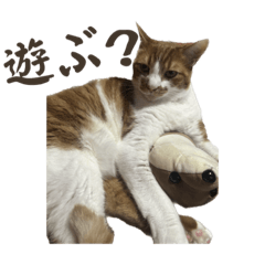 tefu's cats – LINE貼圖 | LINE STORE