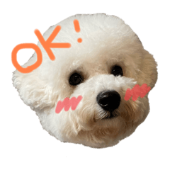 mta_393_20230920154805 - Stiker LINE | LINE STORE