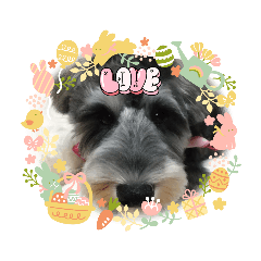 MOMOLAND_20230920203516 – LINE stickers | LINE STORE