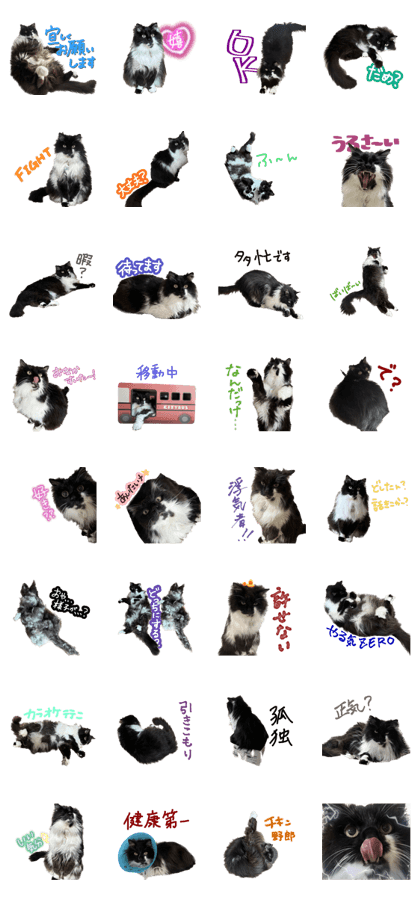 【スタンプ無料GET!】 あらしにゃん！3｜ Stampick! （スタンピック）