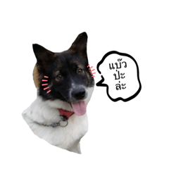 Dog and bird_20230921234207 - Stiker LINE | LINE STORE