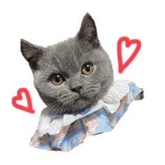 mta_393_20230922012818 - Stiker LINE | LINE STORE