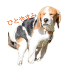 KaTo_20230924111732 – LINE stickers | LINE STORE