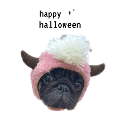 perko_20230924172121 - Stiker LINE | LINE STORE