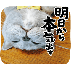 yuri_20230924184318 – LINE stickers | LINE STORE