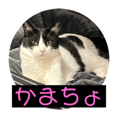 ONIKU creators_20230925023142 – LINE stickers | LINE STORE