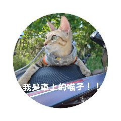 Tetty_20230927135337 – LINE stickers | LINE STORE