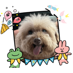 Dog 6 - Stiker LINE | LINE STORE