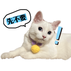 Louis life diary 1 – LINE stickers | LINE STORE