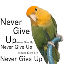 Tyatya_20231002002019 – LINE stickers | LINE STORE