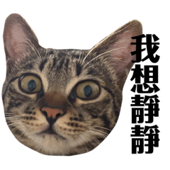 Yu Tzu Lin_20231002142509 – LINE stickers | LINE STORE