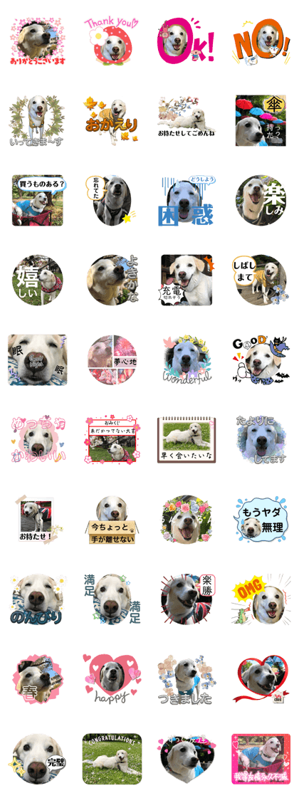 【スタンプ無料GET!】 ラブラドールな毎日♡犬の日スペシャル40｜ Stampick! （スタンピック）