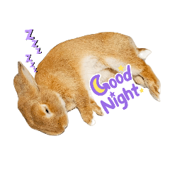 Nanya_20231002232240 - Stiker LINE | LINE STORE