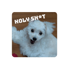 VIP dog (1) - Stiker LINE | LINE STORE