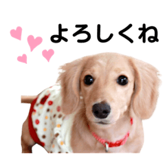 NANA_stamp2310 – LINE貼圖 | LINE STORE