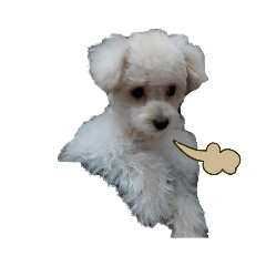 VIP dog duoduo - useful ver. – LINE貼圖 | LINE STORE