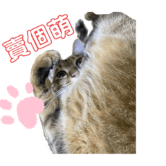 yuhui_20231013011930 - LINE スタンプ | LINE STORE