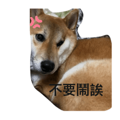 Dorena_20231014232921 - LINE スタンプ | LINE STORE