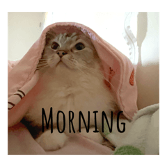 Hemish_20231015132235 - Stiker LINE | LINE STORE