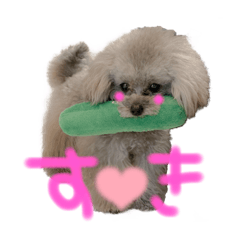 amoreo_20231018014723 – LINE stickers | LINE STORE