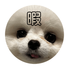 I am pom_20231018194549 – LINE stickers | LINE STORE