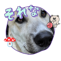 yuka-o_20231026140430 – LINE stickers | LINE STORE