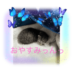 Reea_20231027102802 – LINE stickers | LINE STORE