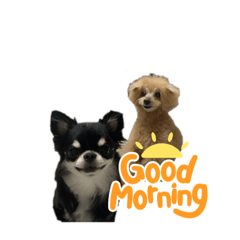 meron&marin private life – LINE stickers | LINE STORE