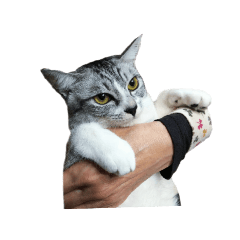 asali&shijimi_20231028204014 – LINE stickers | LINE STORE