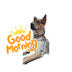 Princess Peppermint – LINE stickers | LINE STORE