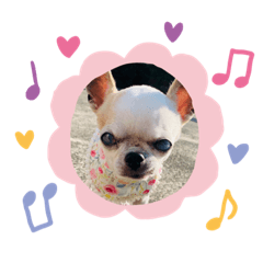 Vicky_20231030165231 – LINE stickers | LINE STORE