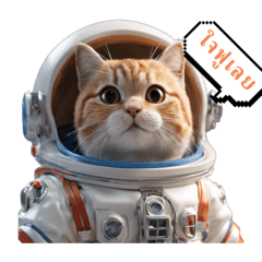 Mapao - LINE スタンプ | LINE STORE