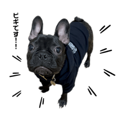 minamiairi_20231101200841 – LINE stickers | LINE STORE