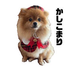 Chacha in Thailand - LINE スタンプ | LINE STORE