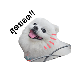 mint nikar_20231103010629 - LINE スタンプ | LINE STORE