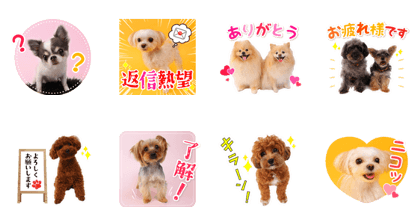 【スタンプ無料GET!】 DEC【おでか犬】愛犬スタンプ第10弾｜ Stampick! （スタンピック）