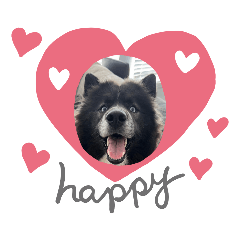 murphy dog - LINE スタンプ | LINE STORE