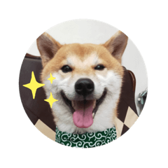 Unn_20231104203633 – LINE stickers | LINE STORE