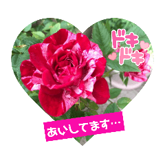 masa_20231107111929 - Stiker LINE | LINE STORE