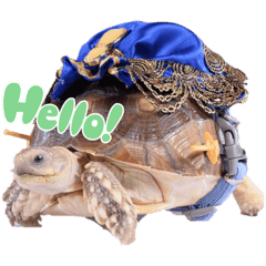 ShinoSuke_20231107170156 – LINE stickers | LINE STORE