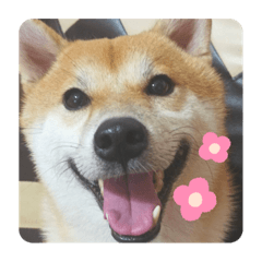 Unn_20231108172603 – LINE stickers | LINE STORE