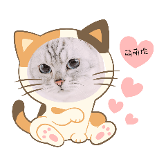cat_20231109002859 – LINE stickers | LINE STORE