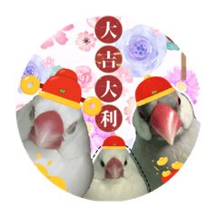 Tomato fan_20231109184850 - LINE スタンプ | LINE STORE